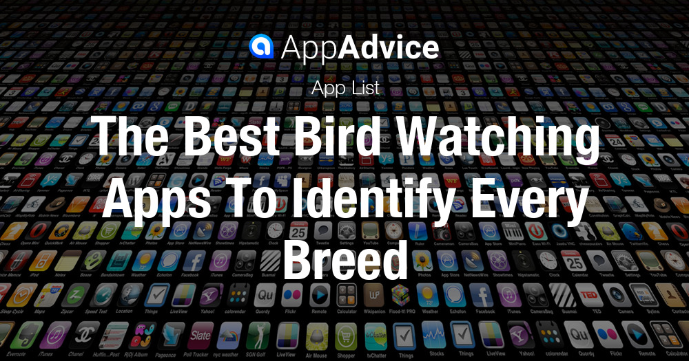 The Best Bird Watching Apps To Identify Breeds