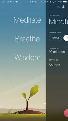 Oak Meditation Will Guide You to More Mindful, Relaxed Living