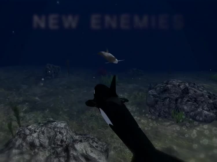 Orca Simulator by Gluten Free Games